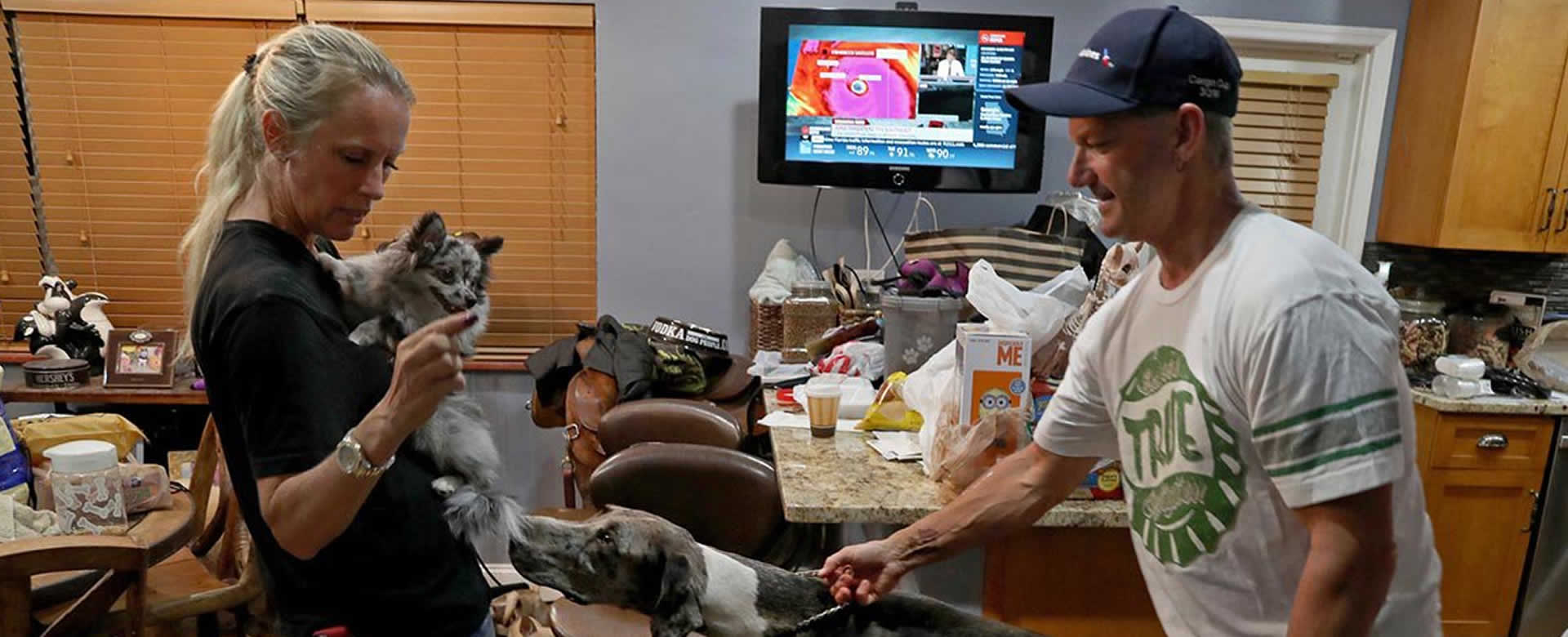 Una pareja resguardó 46 mascotas durante el Huracán Irma